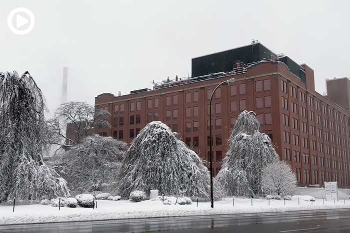 Take a Tour of the Behemoth Kodak Complex in This Video – SySyPhoTo