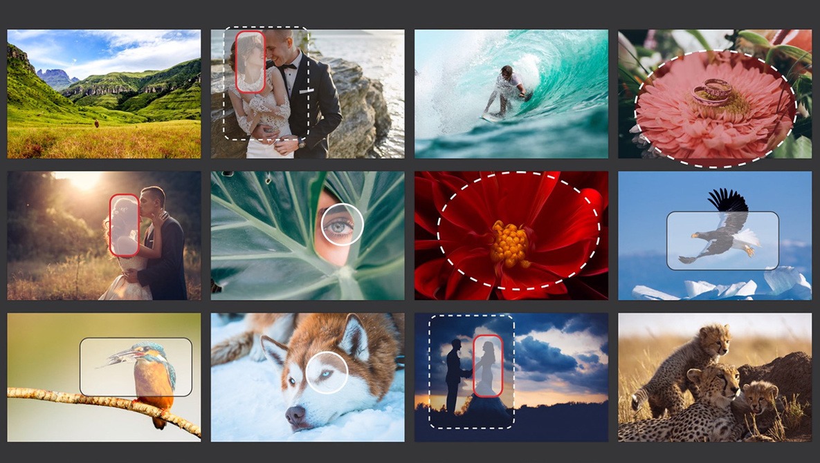 Canon's RAISE Online Community Platform Utilizes A.I. to Organize, Auto ...