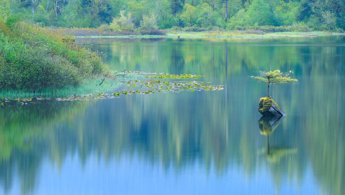 How Content and Meaning Shape Photography Today | Fstoppers