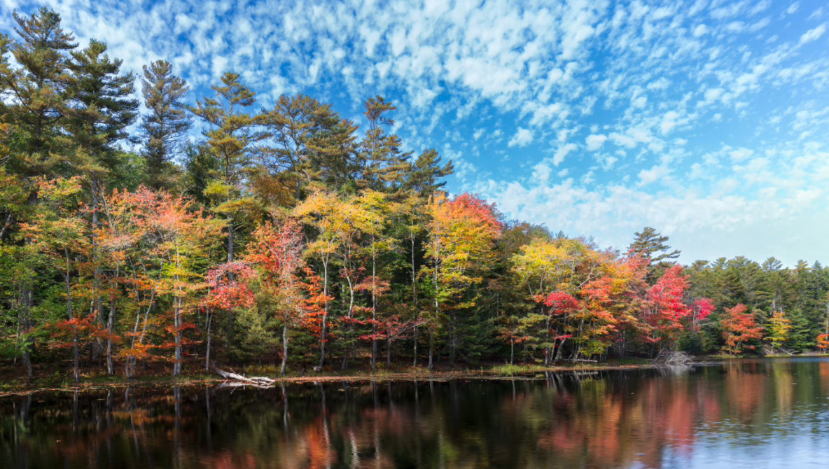 How to Turn Flat Fall Shots Into Lively Landscapes | Fstoppers