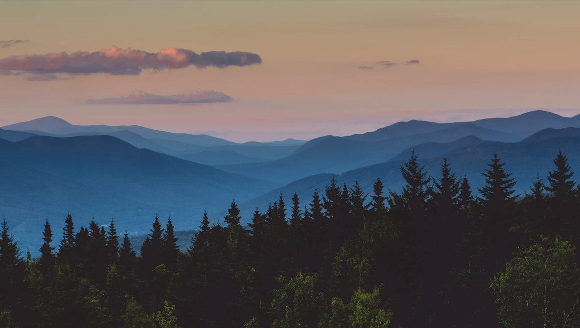 The OM SYSTEM 50-200mm f/2.8 IS PRO Hands-On: A Compact Wildlife ...