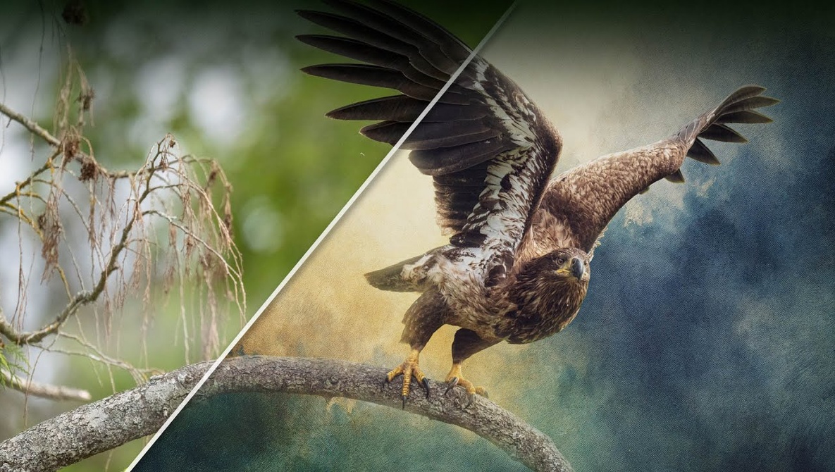 How to Turn Forgettable Shots Into Unique Art in Photoshop | Fstoppers