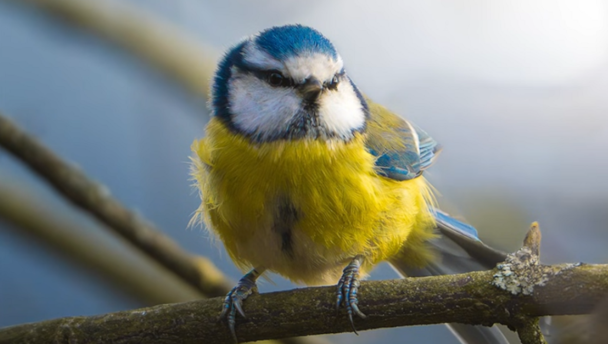 The Lightroom Object Selection Trick That Beats “Select Subject ...