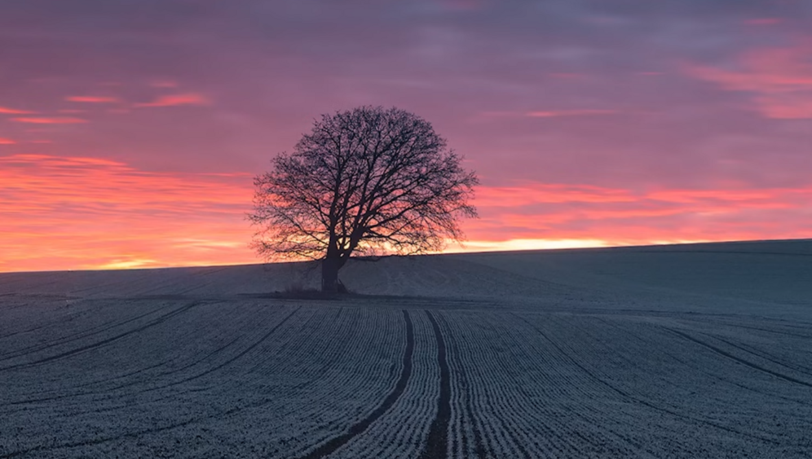 How to Get Crisp Detail Without the “Over-Sharpened” Look | Fstoppers