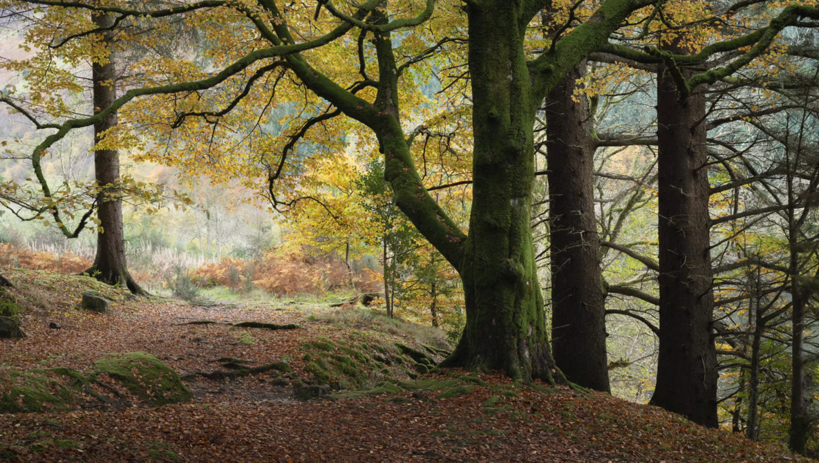 Micro Moves That Make a Landscape Photo Click | Fstoppers