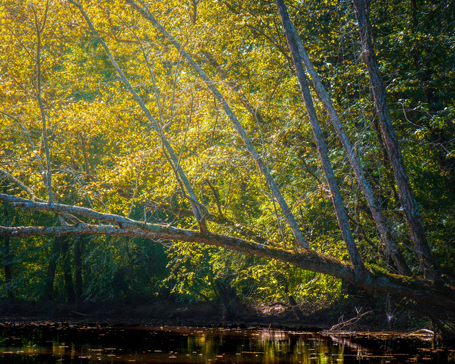 What Is Humble Photography, and How Can It Change the Way You Shoot ...