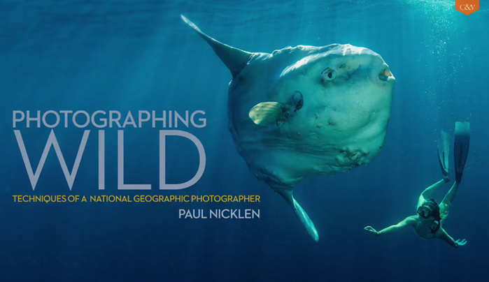 Paul Nicklen's New Book, 'Photographing Wild': Learn From a National ...
