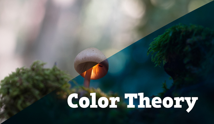 The Ultimate Guide for Color Theory for Photography: Photo Editing and ...