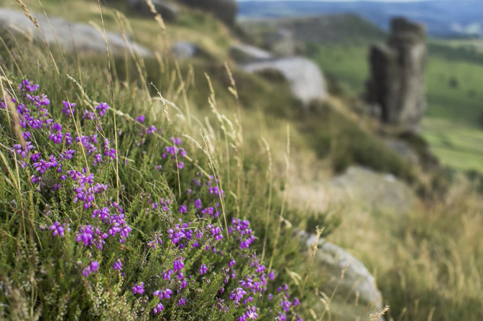 One Camera, One Lens, One Format: A Landscape Photography Challenge ...