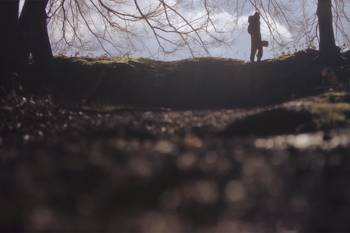 Wildlife Photographer Waits a Week for the Perfect Shot With Stunning ...