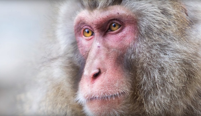 Tips That Make Your Wildlife Shots Just a Bit Easier | Fstoppers