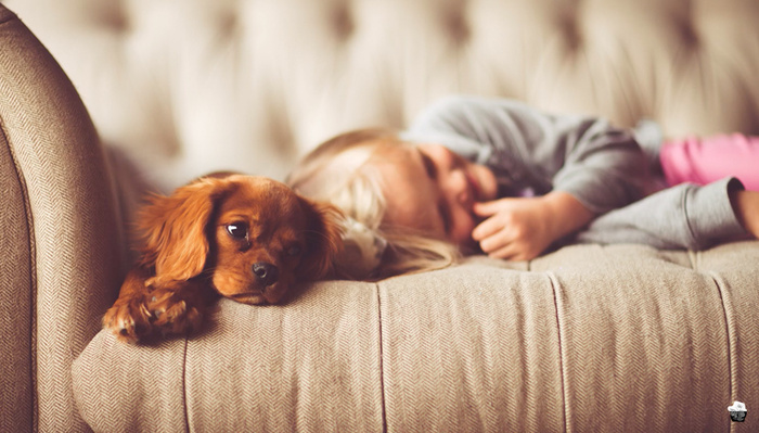 Nine Very Helpful Tips for Better Family Photos | Fstoppers