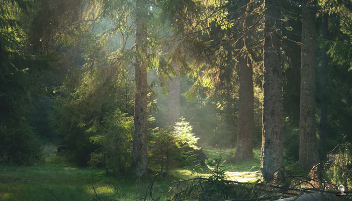 Five Common Landscape Photography Techniques