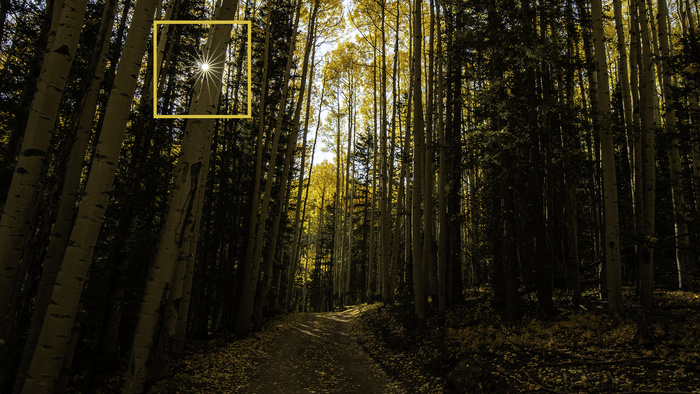 How to Capture the Perfect Sunburst