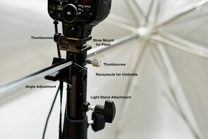 Umbrella 101 for Beginners: Bare Flash vs. Shoot Thru vs. Reflective ...