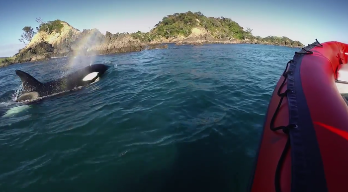 GoPro Makes It Official - HERO4 Available October 5th | Fstoppers