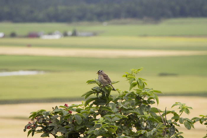 Are Photographers Destroying Nature? | Fstoppers