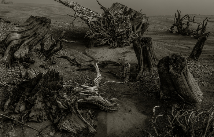 Photographer Creates Haunting Reminder of Why We Need Earth Day | Fstoppers
