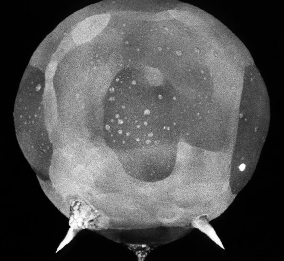 A Shutter Speed of 1/100,000,000 s: Capturing Photos of the Atomic Bomb ...