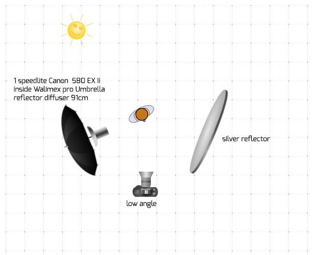 The Art of Sigma Art: from Inspiration to Implementation of the ...
