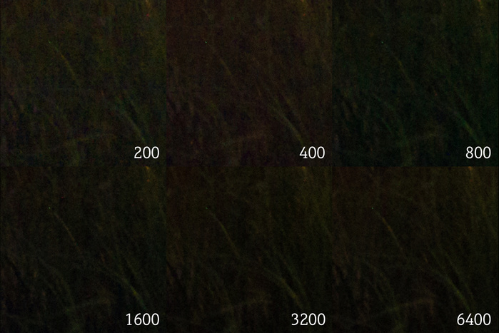 ISO Review: Capture the Night Sky with the ISO-less Nikon D750 | Fstoppers