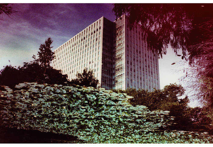 Sean Lotman Photographs the Sunlanders of Kyoto | Fstoppers