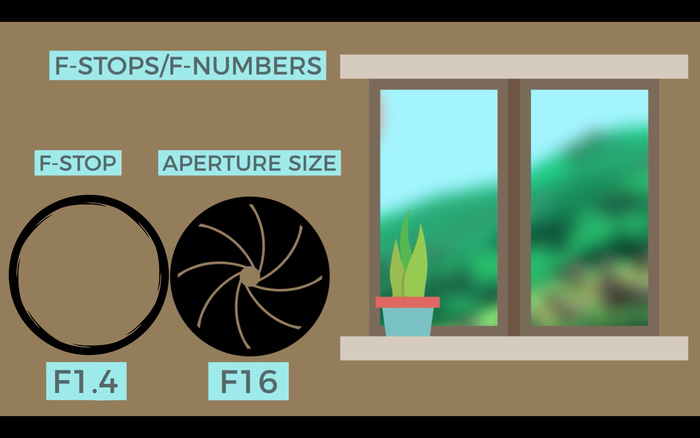 What is Aperture and Other Camera Basics? | Fstoppers