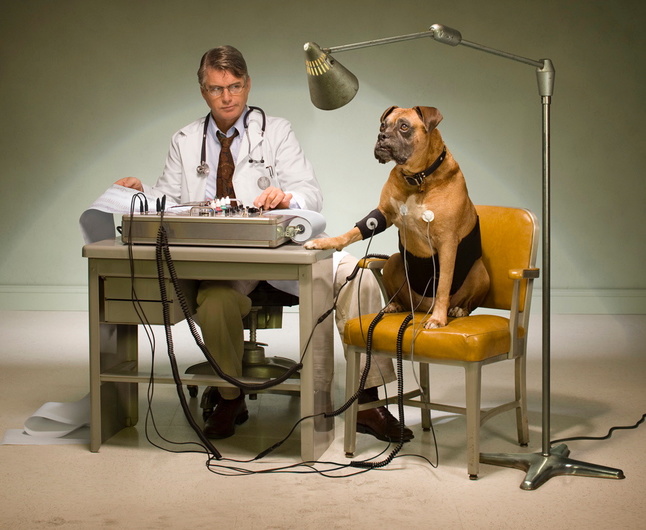 'Two Photographers Walk Into a Bar...' Or Injecting Humor In ...