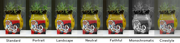 Demystifying Camera Picture Profiles | Fstoppers