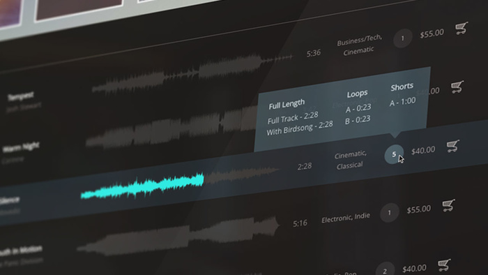 An Interview With Music Vine, The New Name in Music Licensing for Video ...