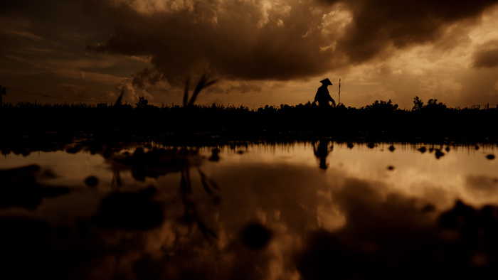 Five Types of Ambient Light You Should Know How to Use in Photography ...