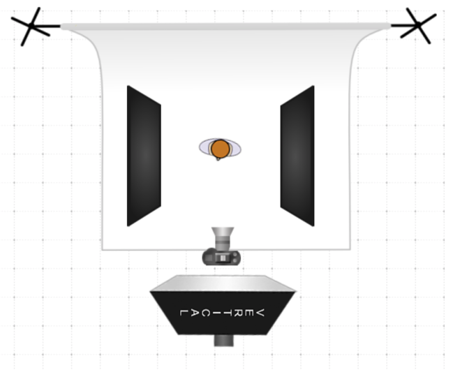 Recreate the Style of Platon's Portrait of Satya Nadella for WIRED ...
