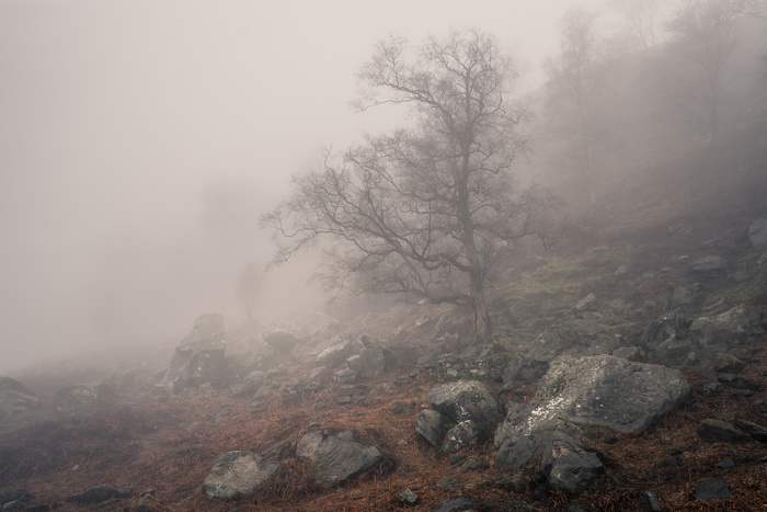 Fine Art Landscape Photography (Part 3): The Introvert Mind Featuring ...