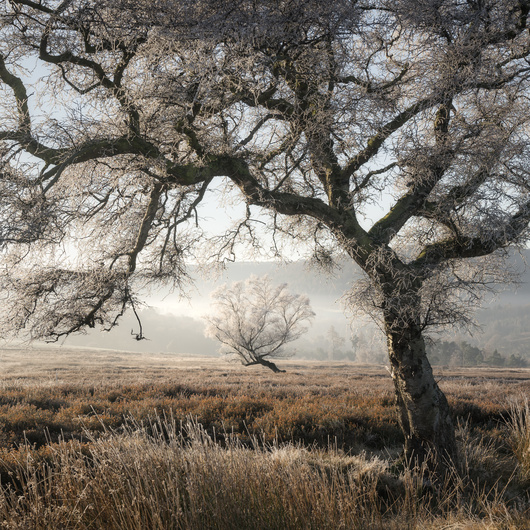 Fine Art Landscape Photography (Part 3): The Introvert Mind Featuring ...