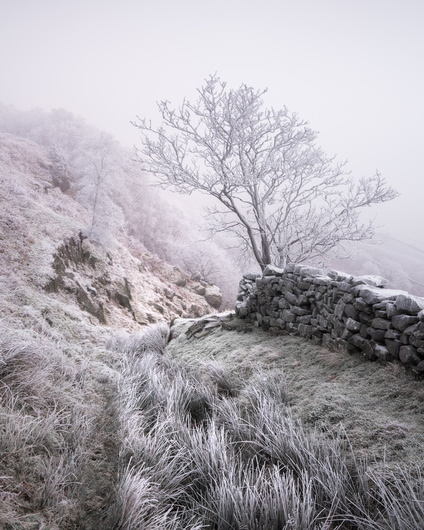 Fine Art Landscape Photography (Part 3): The Introvert Mind Featuring ...