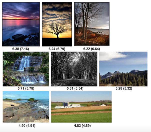 Google's New AI Can Score Photos Based on Their Technical Quality and ...