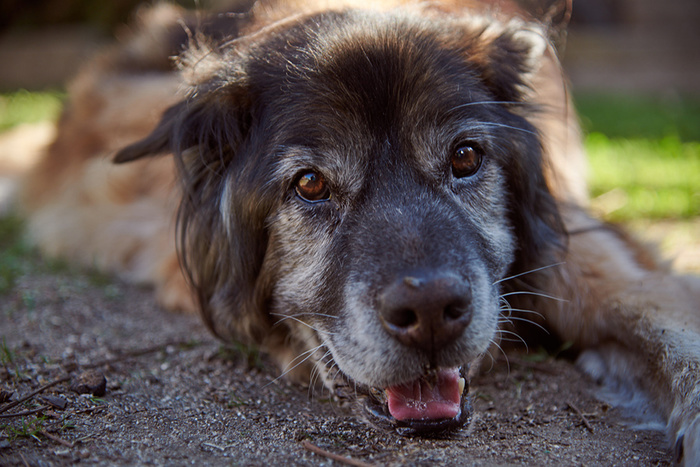 It's Arrived: The Joy of Bringing Home a New Camera | Fstoppers