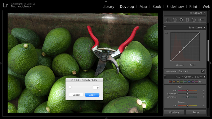Fstoppers Reviews Opal Opacity Plugin for Lightroom | Fstoppers