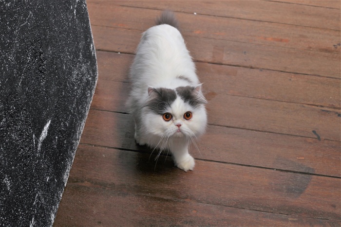 How I Shot This With Hard Lighting | Fstoppers