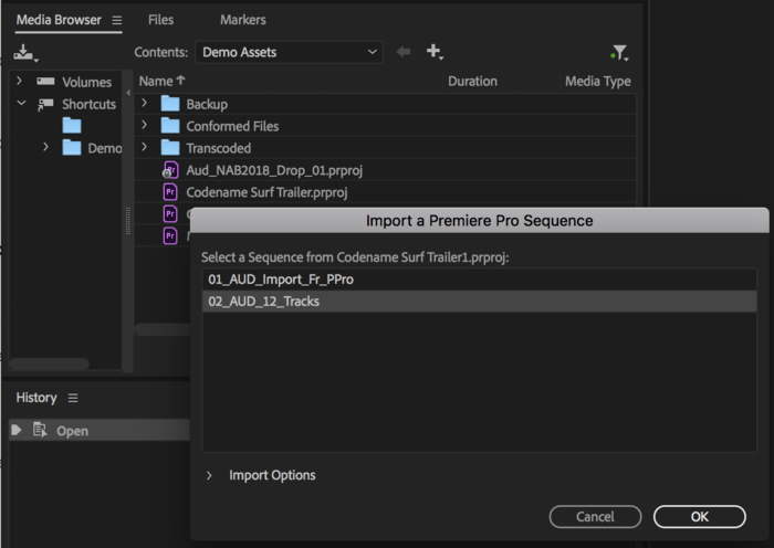 Adobe Updates Premiere Pro, Audition, After Effects, and Character ...