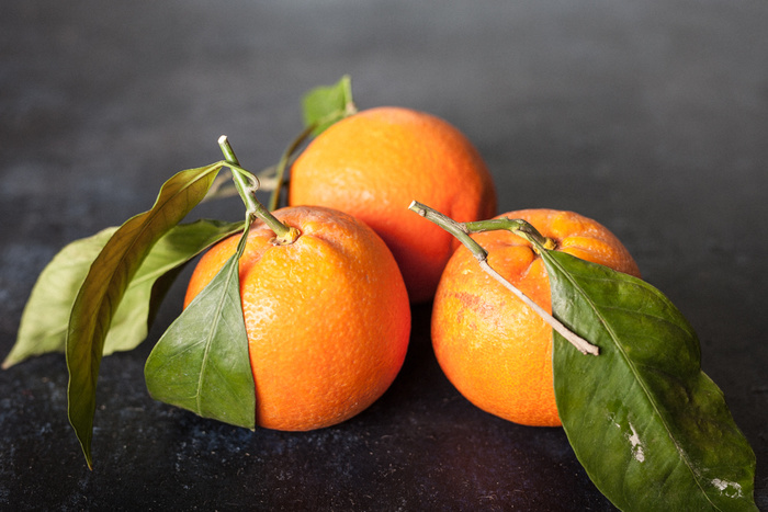 How to Properly Use Light in Food Photography | Fstoppers