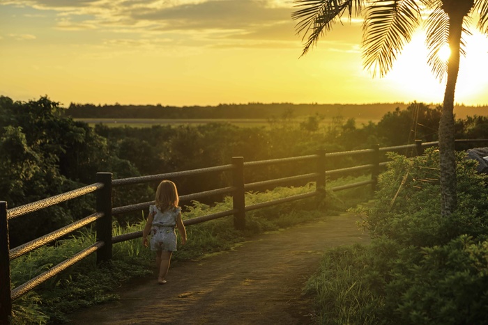 Lost Your Love for Photography? Here's How to Relight Your Passion ...