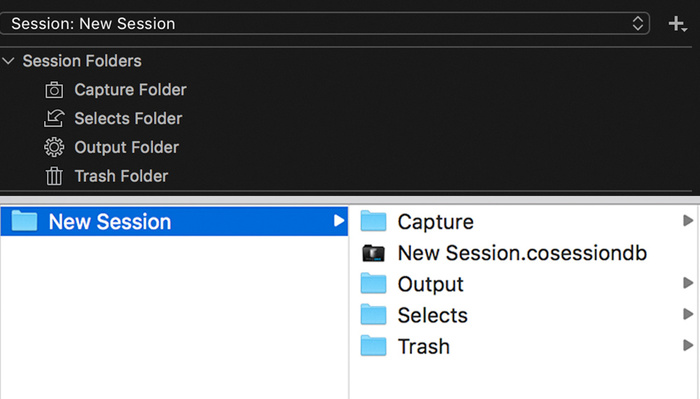 Why You Should Be Using Both Sessions and Catalogs In Capture One Pro ...
