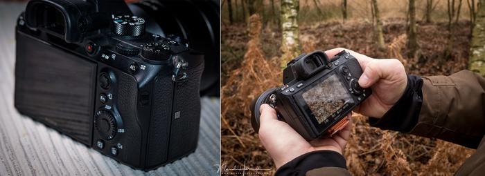Real Life Comparison of the Sony a7R III, the Nikon Z 7, and the Canon ...