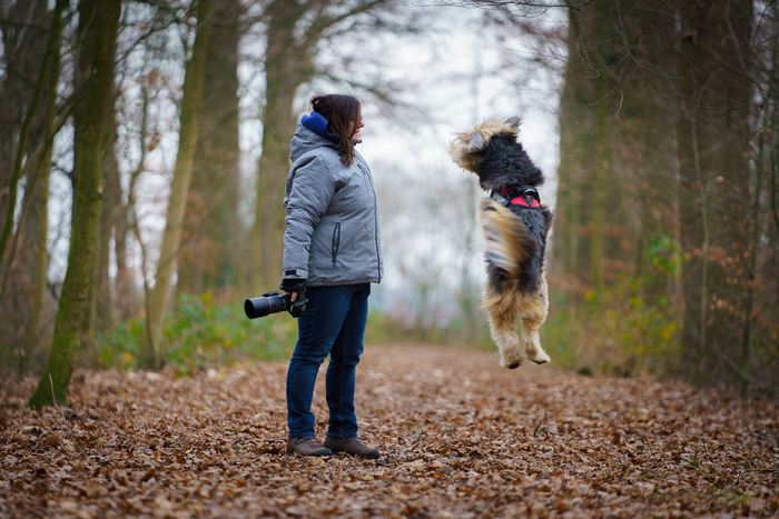 Real Life Comparison of the Sony a7R III, the Nikon Z 7, and the Canon ...