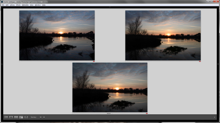 Real Life Comparison of the Sony a7R III, the Nikon Z 7, and the Canon ...