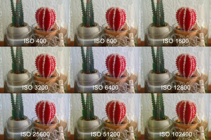 Do You Know the Maximum Acceptable ISO Value for Your Camera? | Fstoppers