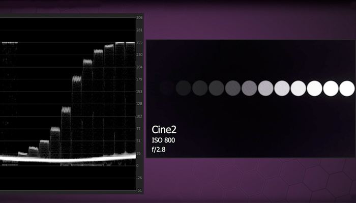 Sony Camera Picture Profiles and Dynamic Range Guide | Fstoppers