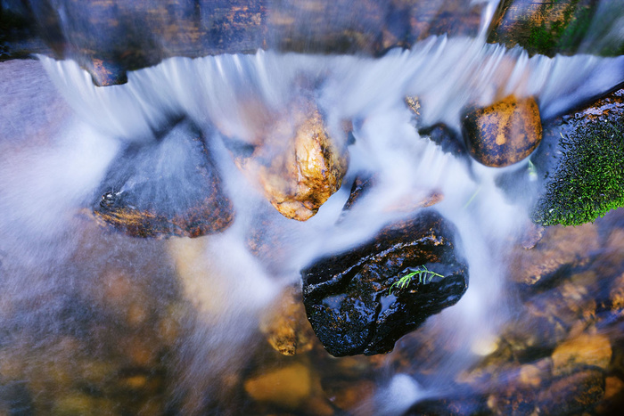 It's All in the Details: Think Big, Look Small | Fstoppers