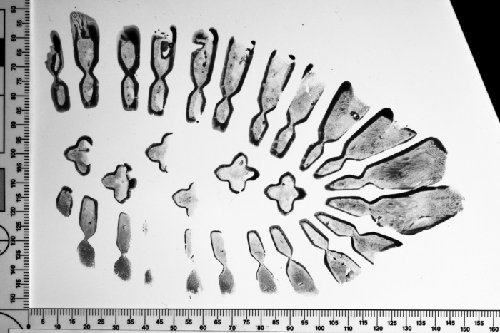 The Remarkable World of a Forensic Imaging Specialist | Fstoppers